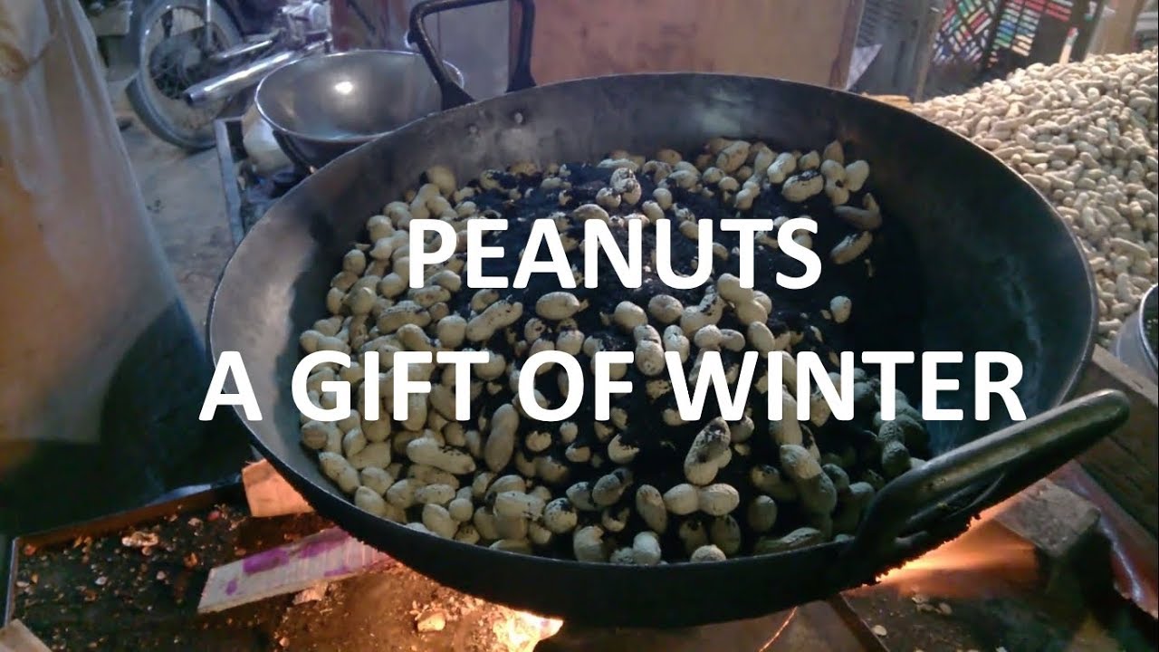 Karachi Street Food | Live Roasted Peanuts - YouTube