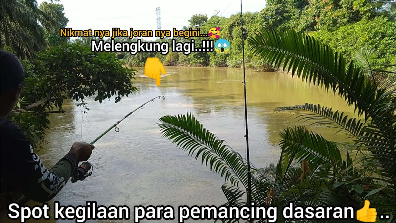 MEMANCING IKAN SUNGAI BERNAM:KALAU HARI HARI MACAM NI KAN SERONOK🥰 ...