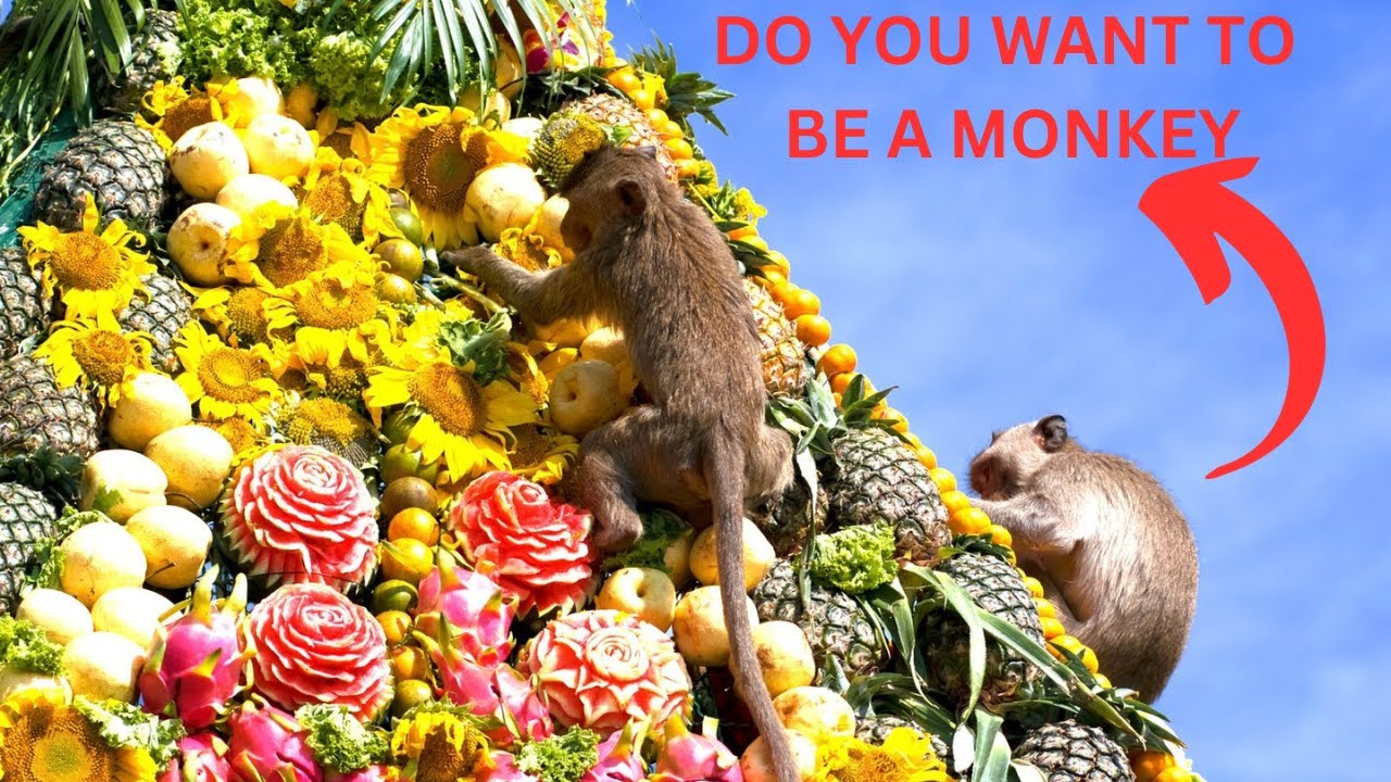 DO YOU WANT TO BE A MONKEY ?? The Monkey Buffet Festival ! #foryou # ...
