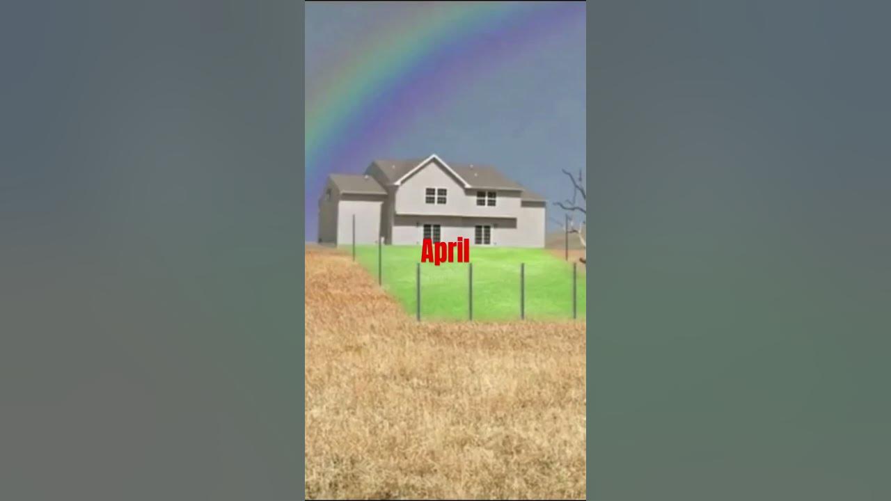 Your birth month, your new dimension #weirdcore - YouTube