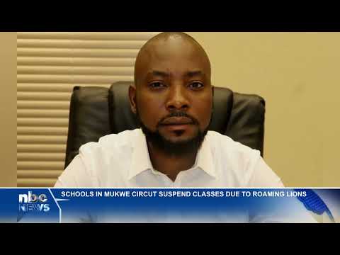 Schools in Mukwe Circuit suspend classes due to roaming lions - nbc - YouTube