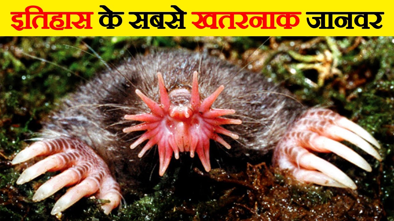 Top 10 Most Dangerous top-10-most-dangerous