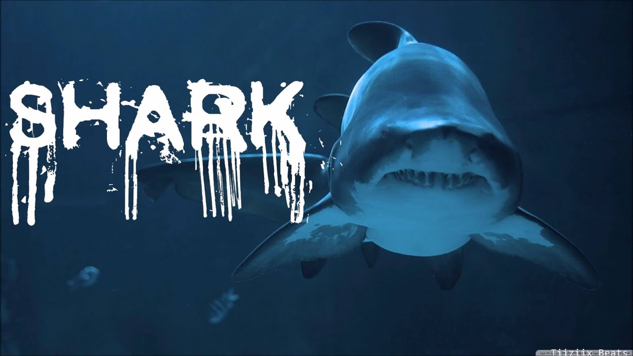 [EMOTIONNAL HIP HOP RAP BEAT] "Shark" Tiiziix Beats | 2015 - YouTube