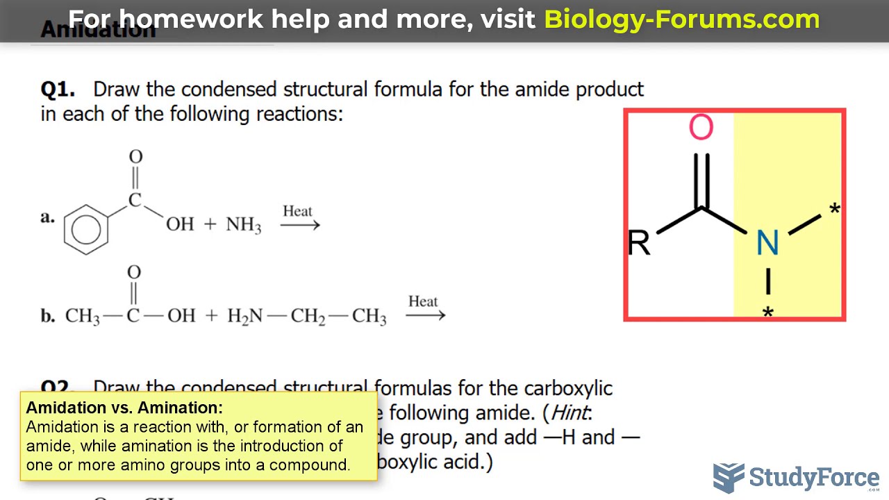 Amidation Reactions (versus Amination) - YouTube