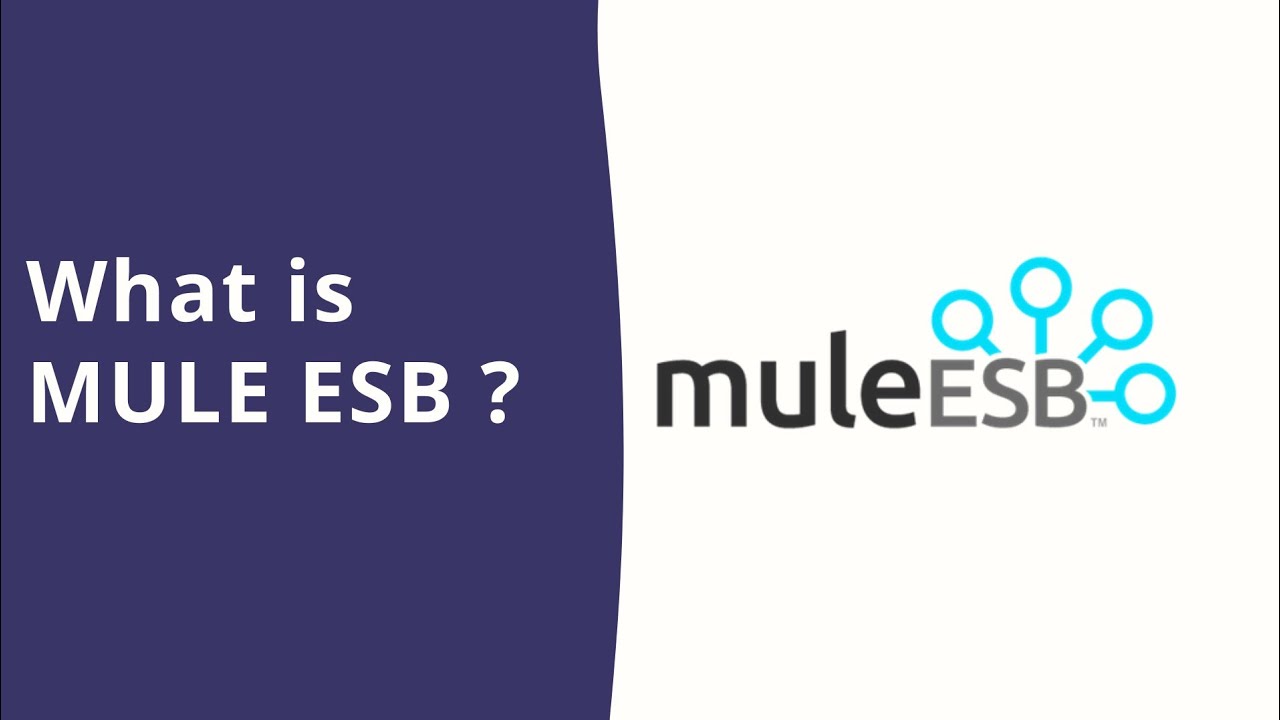 What is MULE ESB ? | MULE SOFT | ESB | MULE - YouTube
