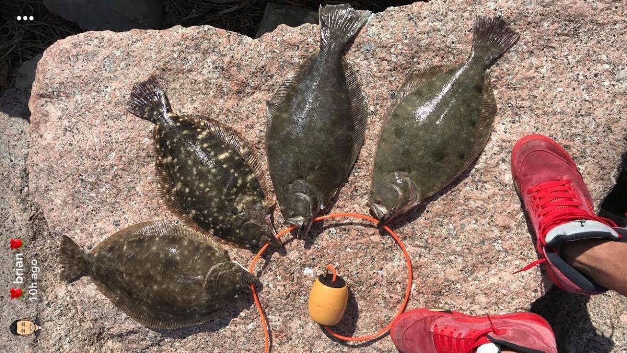 flounder fishing seawolf park : Galveston, Texas nov2018 - YouTube