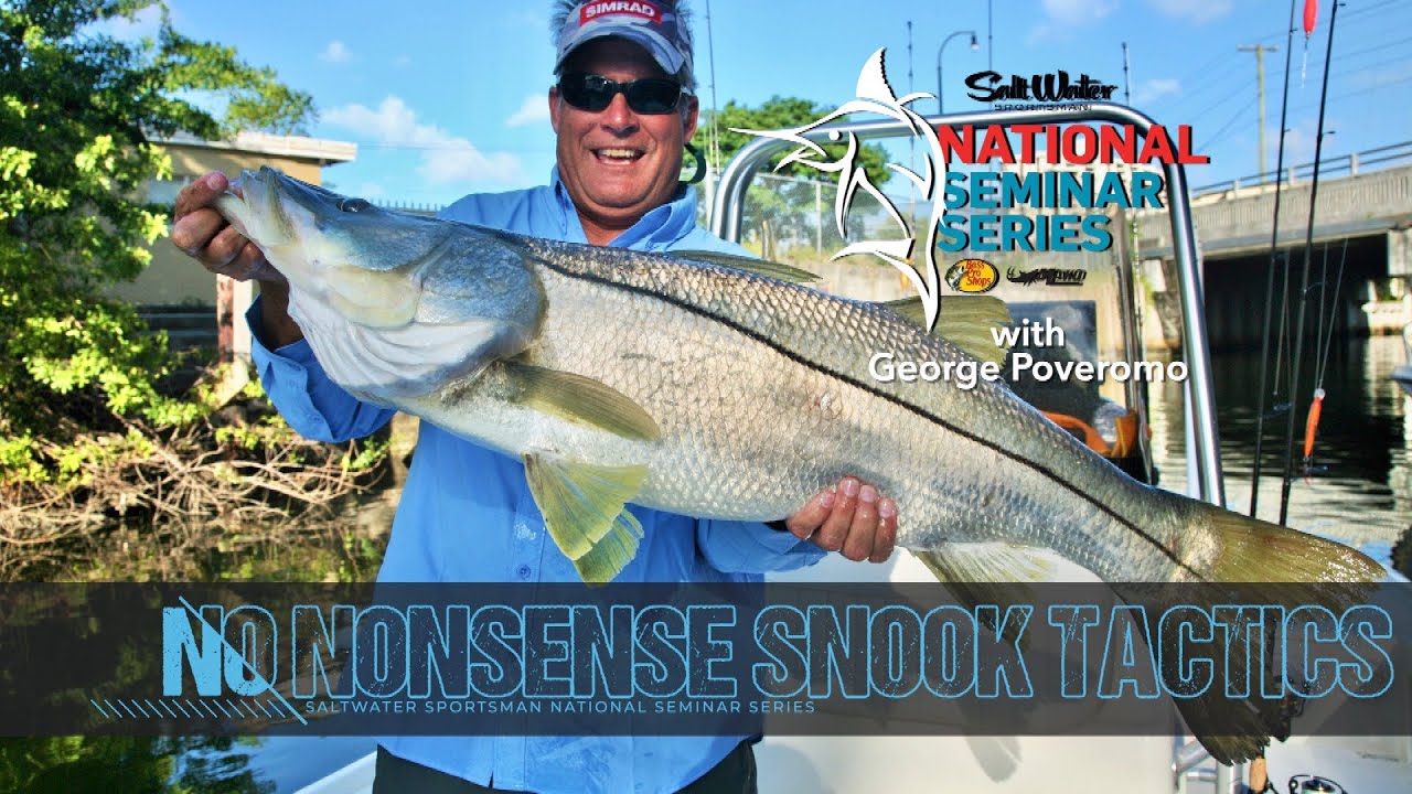 No Nonsense Snook Tactics - YouTube