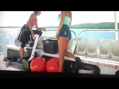 5 headed shark video