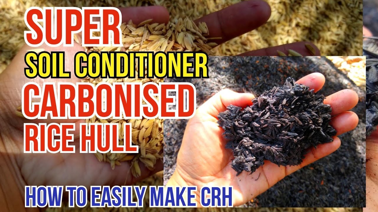 How to Make Carbonised Rice Hull | Benefits of Carbonized Rice Hull in ...