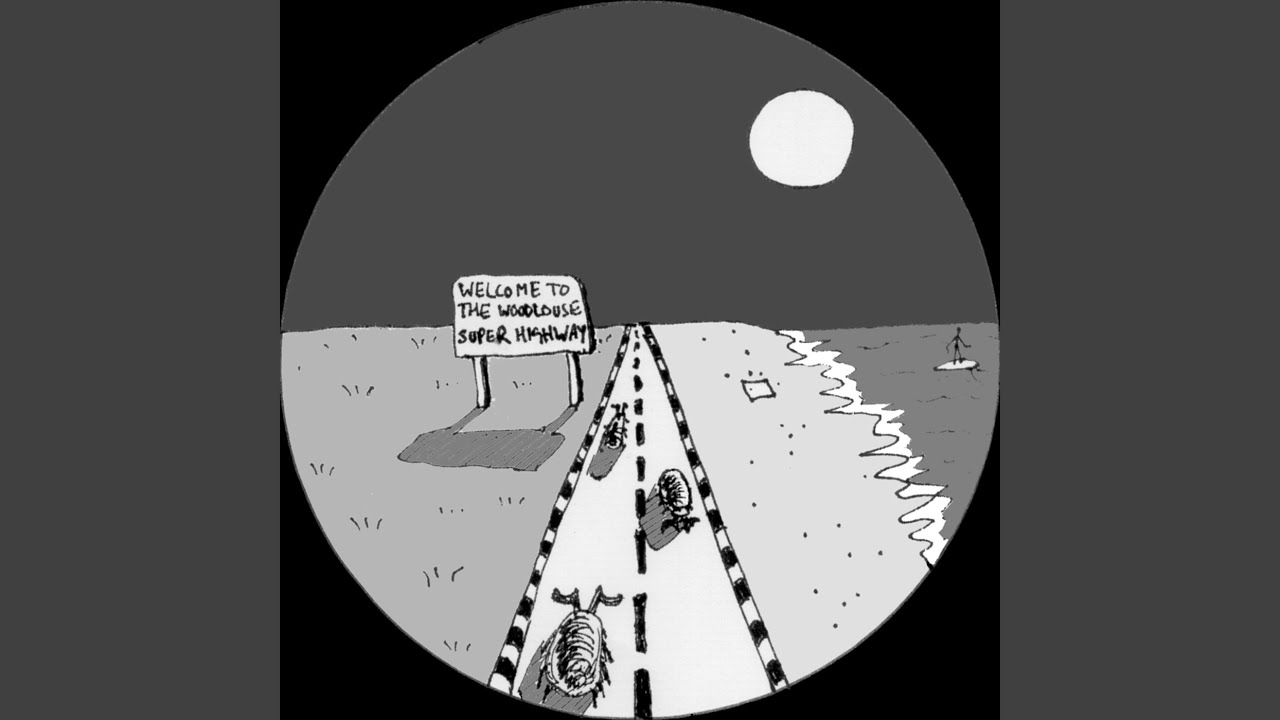 Red DX Acid (Coronix Mix) - Ceephax Acid Crew: Song Lyrics, Music ...