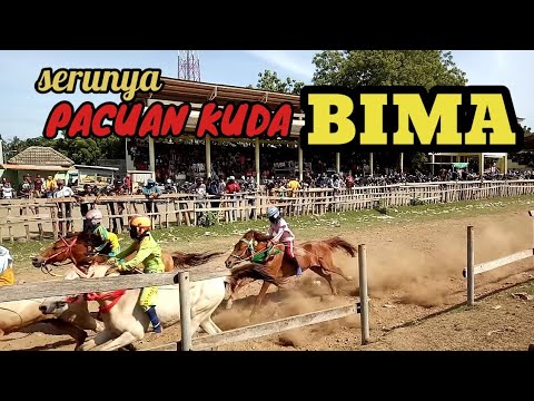 pacuan kuda BIMA - YouTube