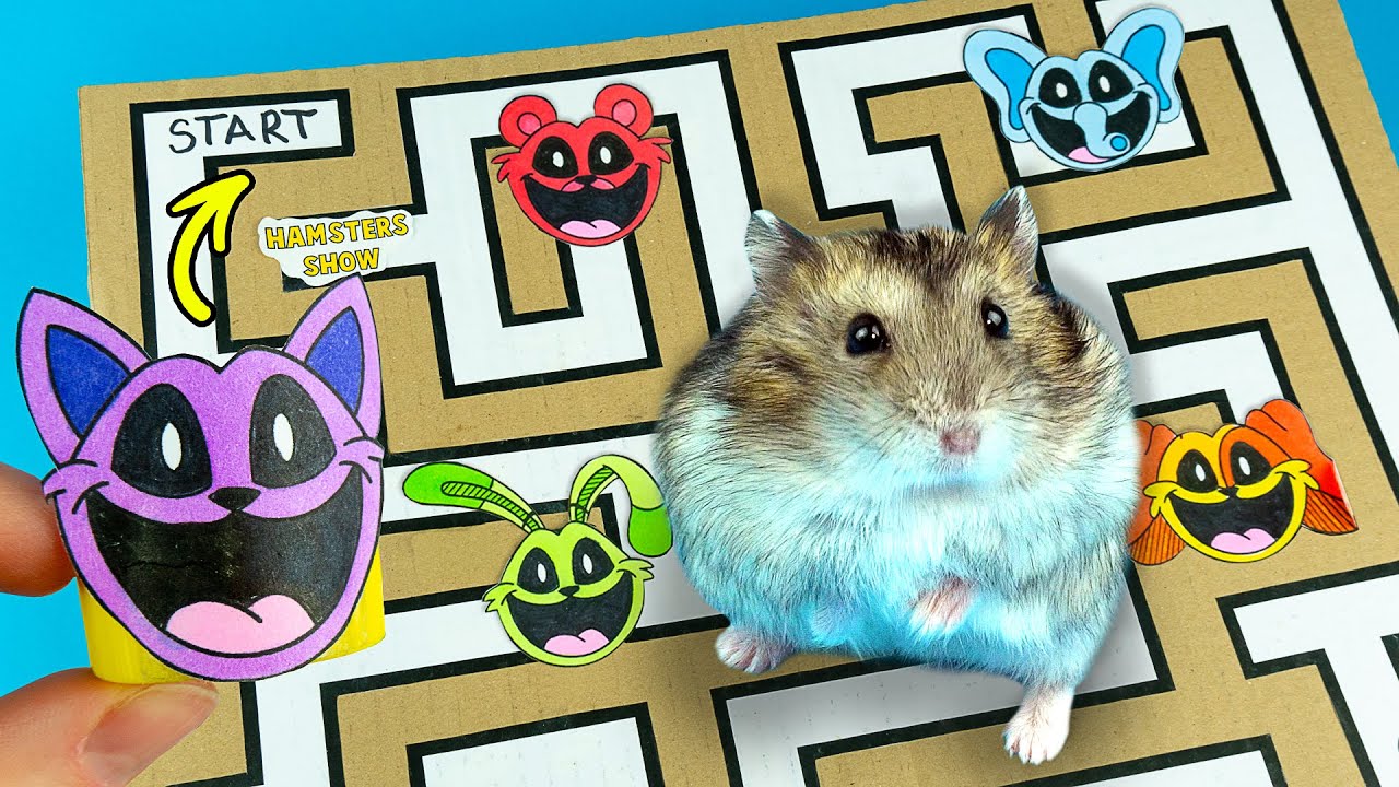 Drawing Smiling Critters & DIY Maze with hamster - YouTube