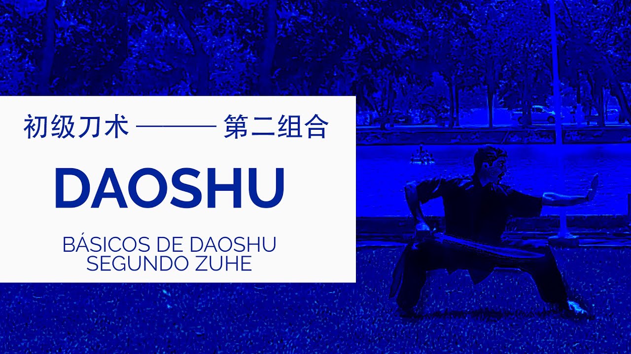(FACÃO CHINÊS) BÁSICOS DE DAOSHU; Segundo Zuhe (初级刀术 第二组合). - YouTube