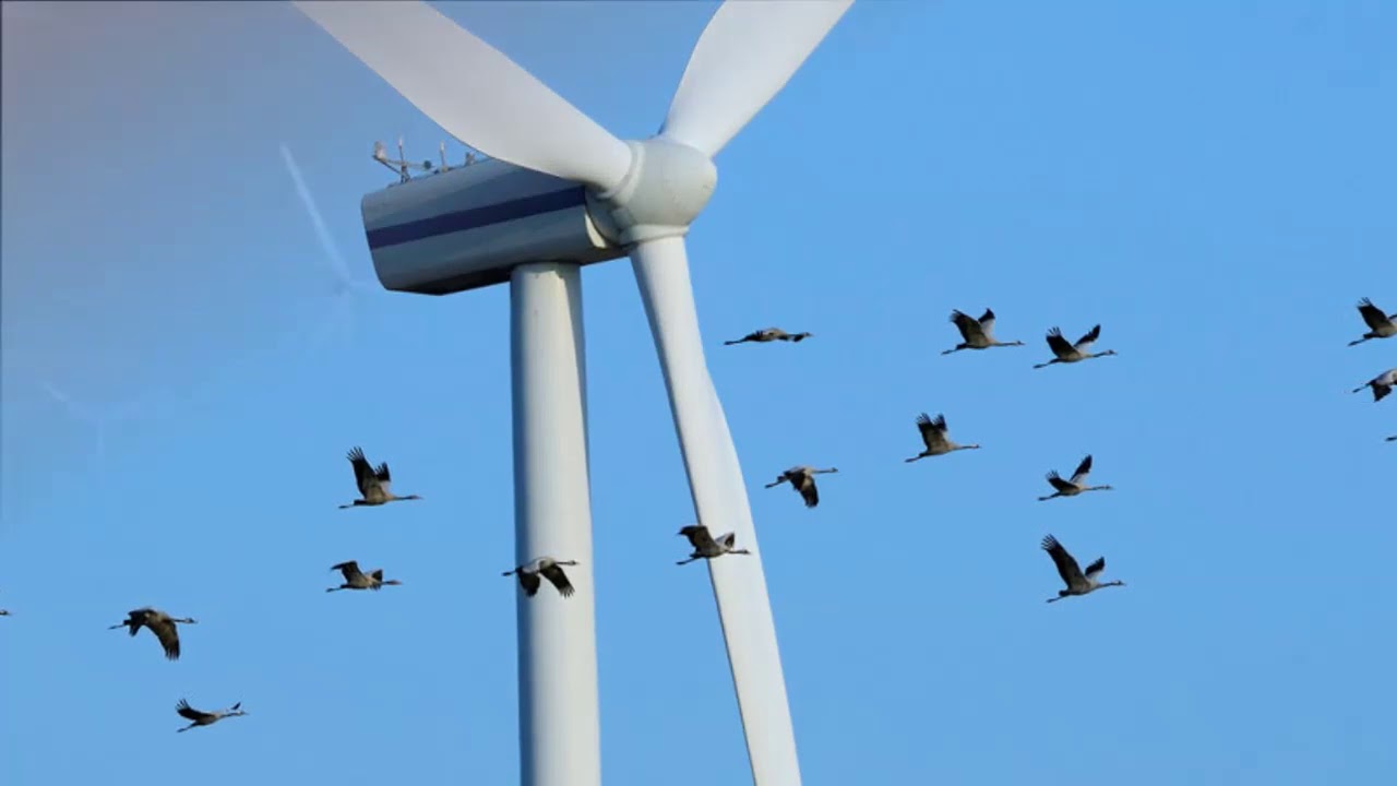 Alberton Wind Farm and Nooramunga - YouTube