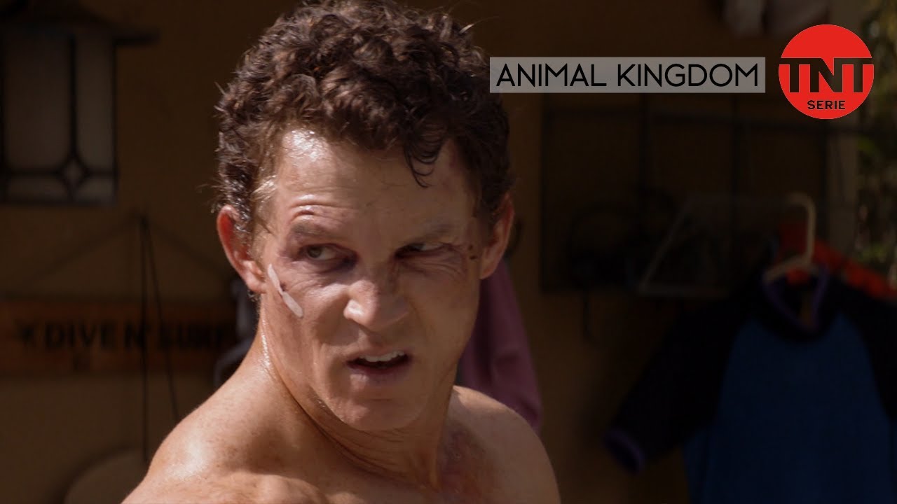 Animal Kingdom | Smurf | TNT Serie - YouTube