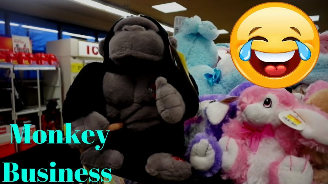 Monday Monkey - YouTube