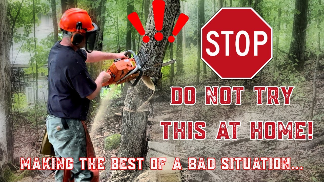 Dangerous Tree Cutting - YouTube