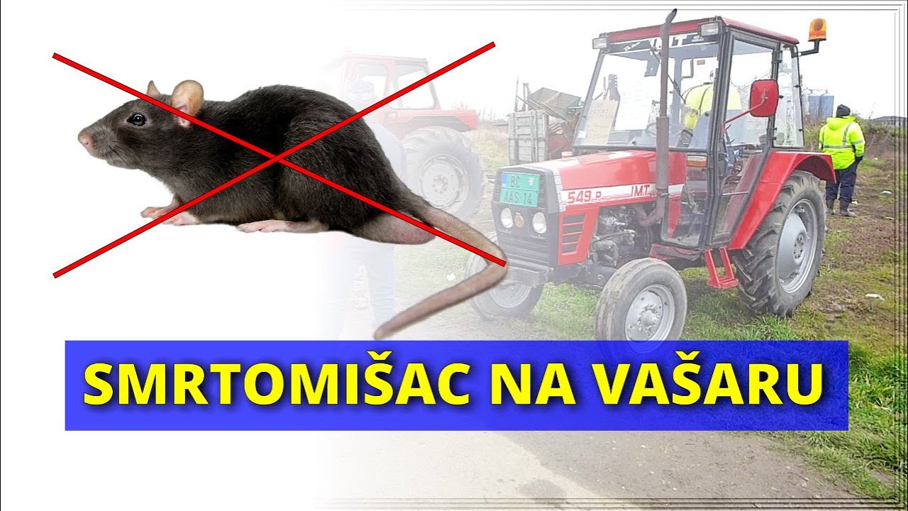 Rumski vašar 2024 - YouTube