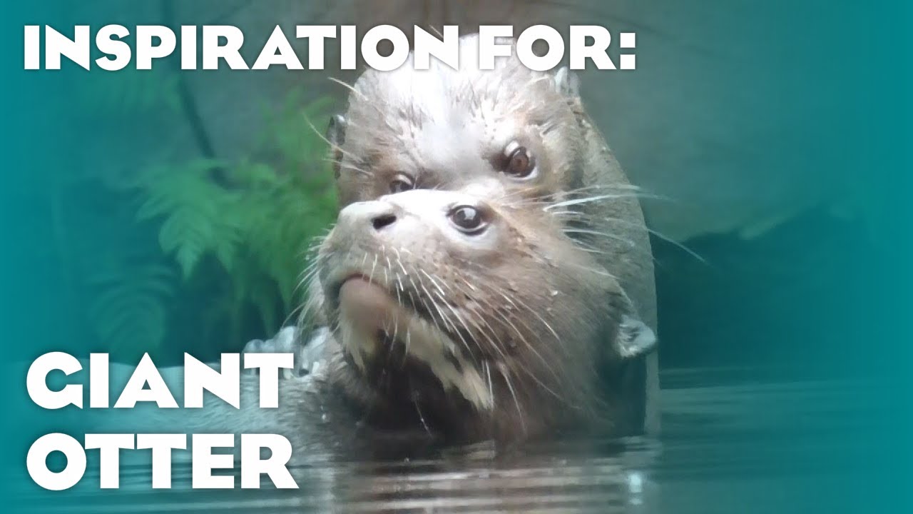 6 Real Giant Otter Habitats! (Planet Zoo Inspiration) - YouTube