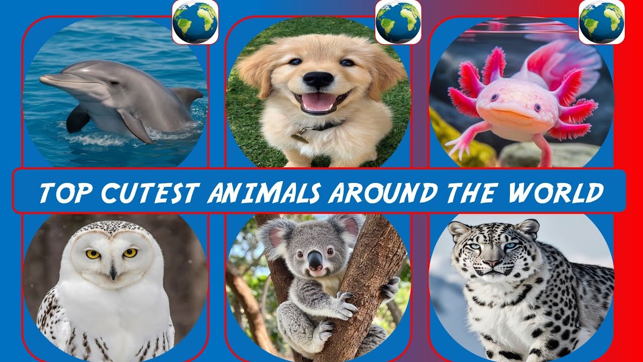 Top Cutest Animals Around the World 🐶🐾 | Cute Overload😍 - YouTube