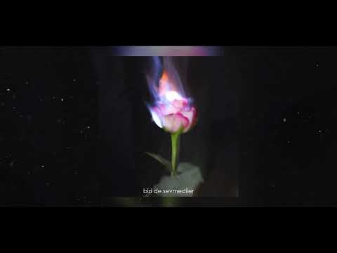 Sezen Aksu - Firuze Slowed (Emin Bilen Remix)