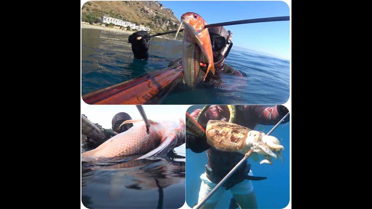 Pesca sub, i pesci della sabbia parte 2 ( seppie, pesce civetta e ...