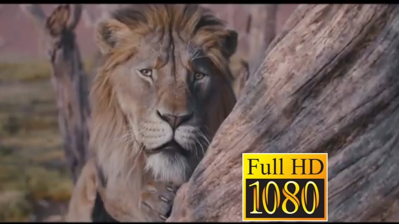 Mufasa the lion king Chikuru Obasi's Brother Finds Out White Lions were ...