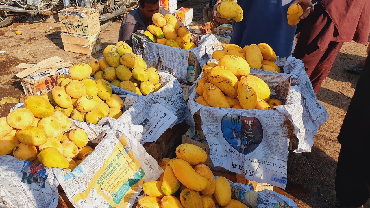 Mandi main Mango kam hogya | International Mango superior quality ...