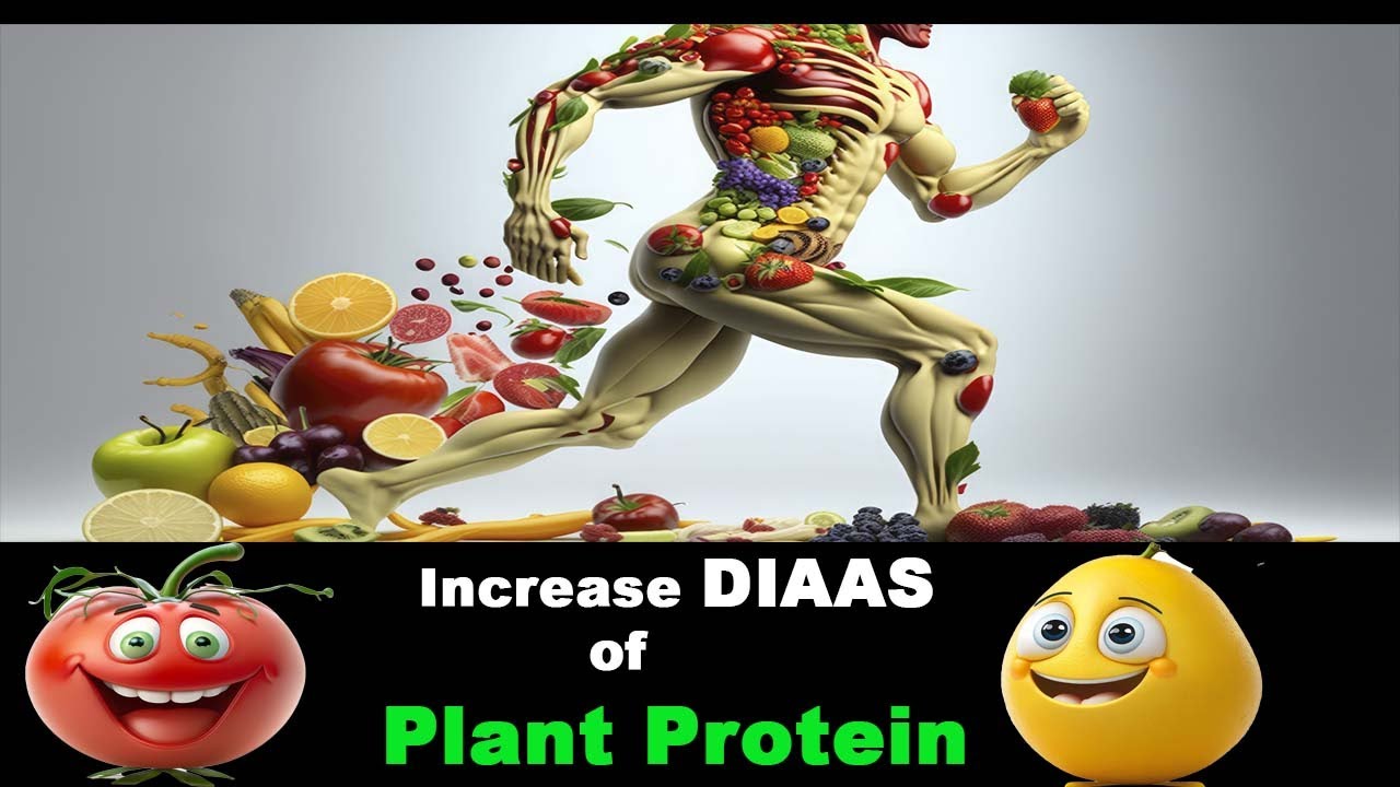 Protein 2 | How to Increase DIAAS of Plant Protein - YouTube
