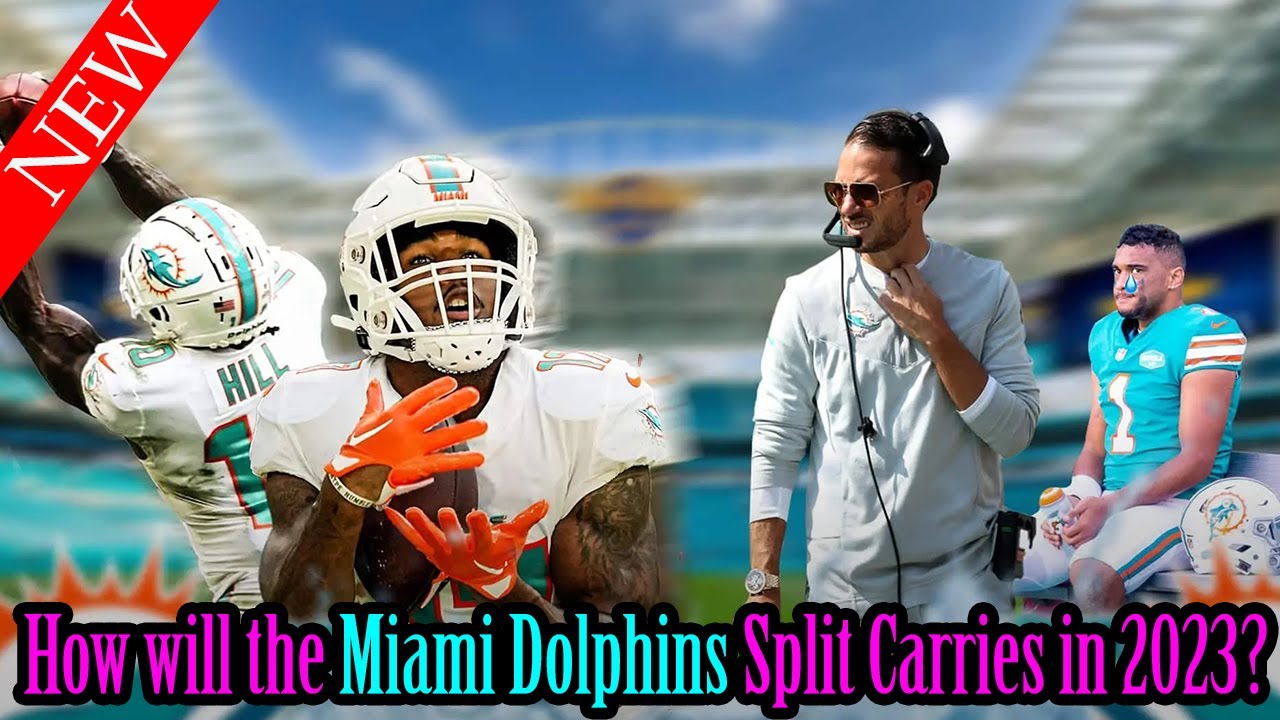 NEWS TODAY| How will the Miami Dolphins split carries in 2023? - YouTube