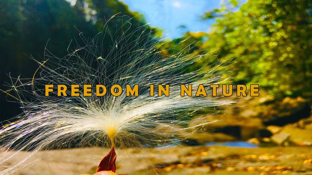 Freedom In Nature - YouTube