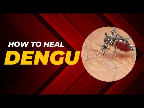 How to Heal DENGU - YouTube