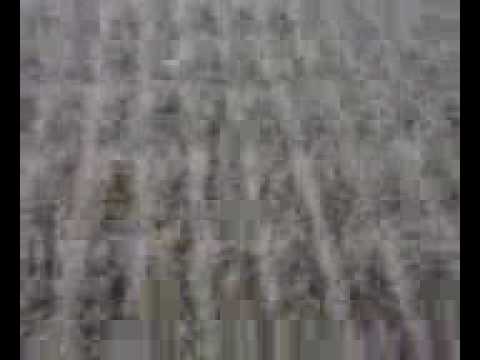 Moorche Koskesh Attack - YouTube