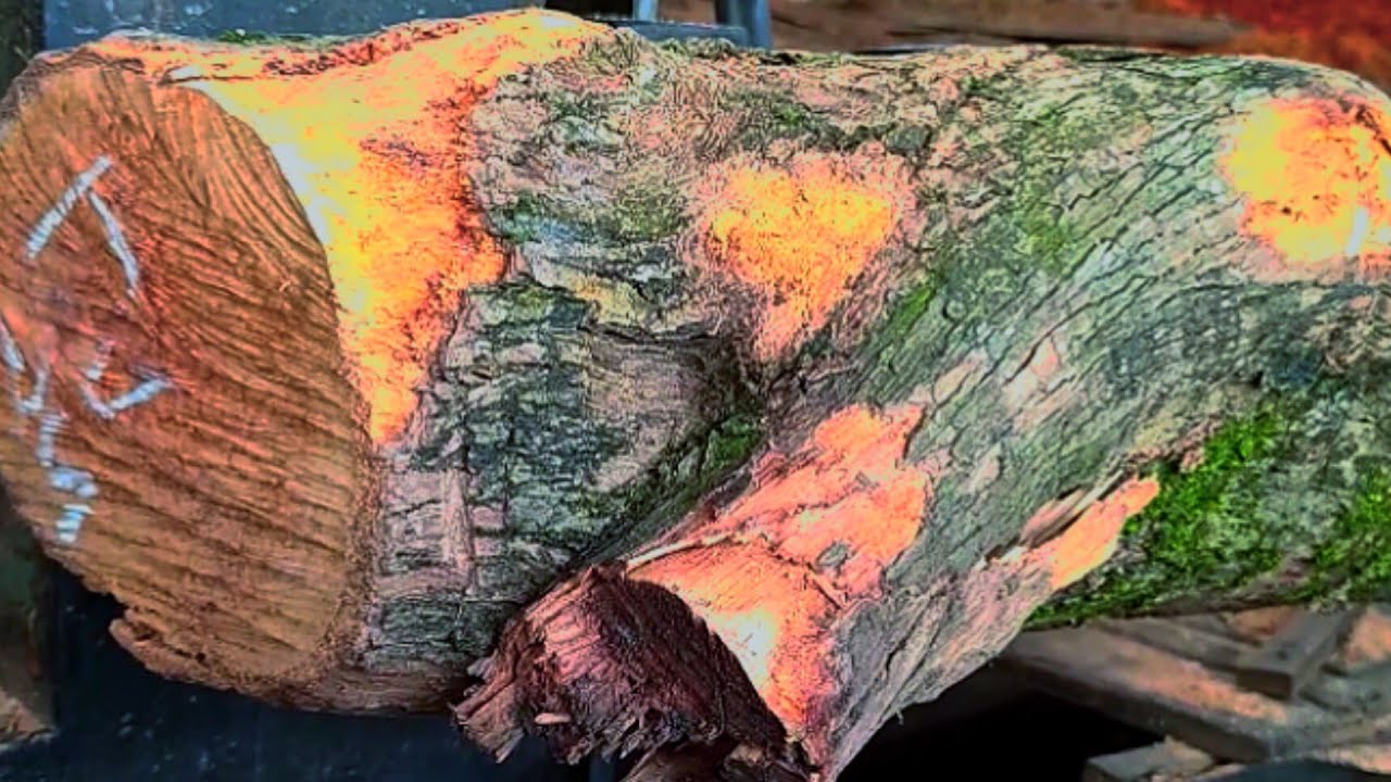 Don't Cut This Wood Again,The Hard Most Dangerous Wood Sawing Skills In ...