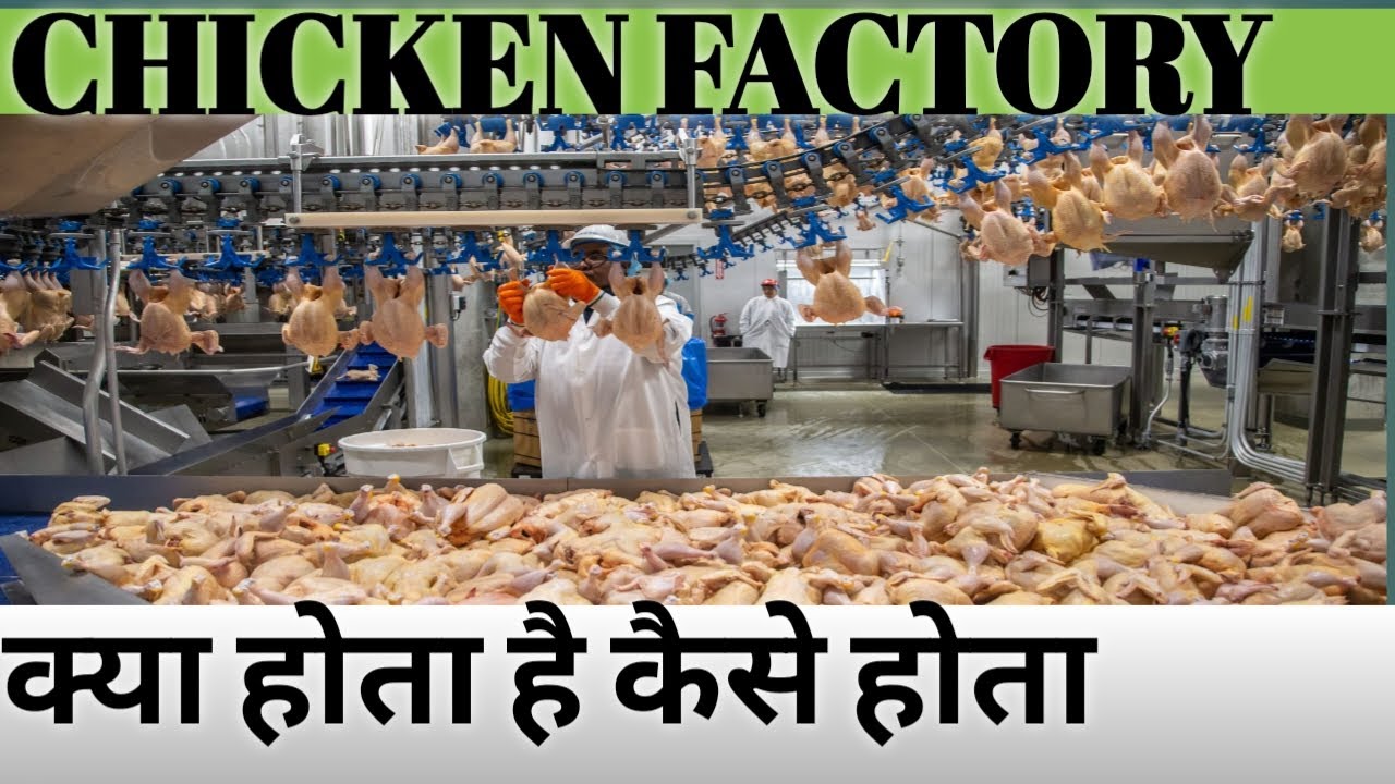 CHICKEN CUTTING PROCESS I HOW TO CUT CHICKEN IN FACTORY I CHICKEN ...