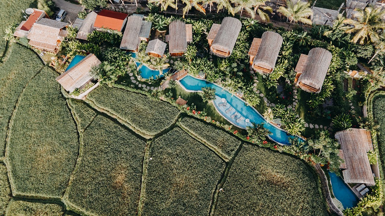 Adiwana Bee House - Ubud - YouTube