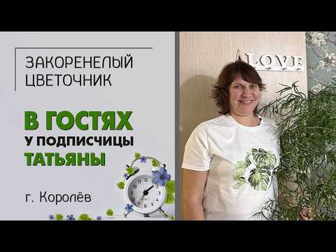 В гостях у Татьяны. г. Королёв. Хойи, алоказии или аспарагусы и монстеры? Фитостена в спальне.