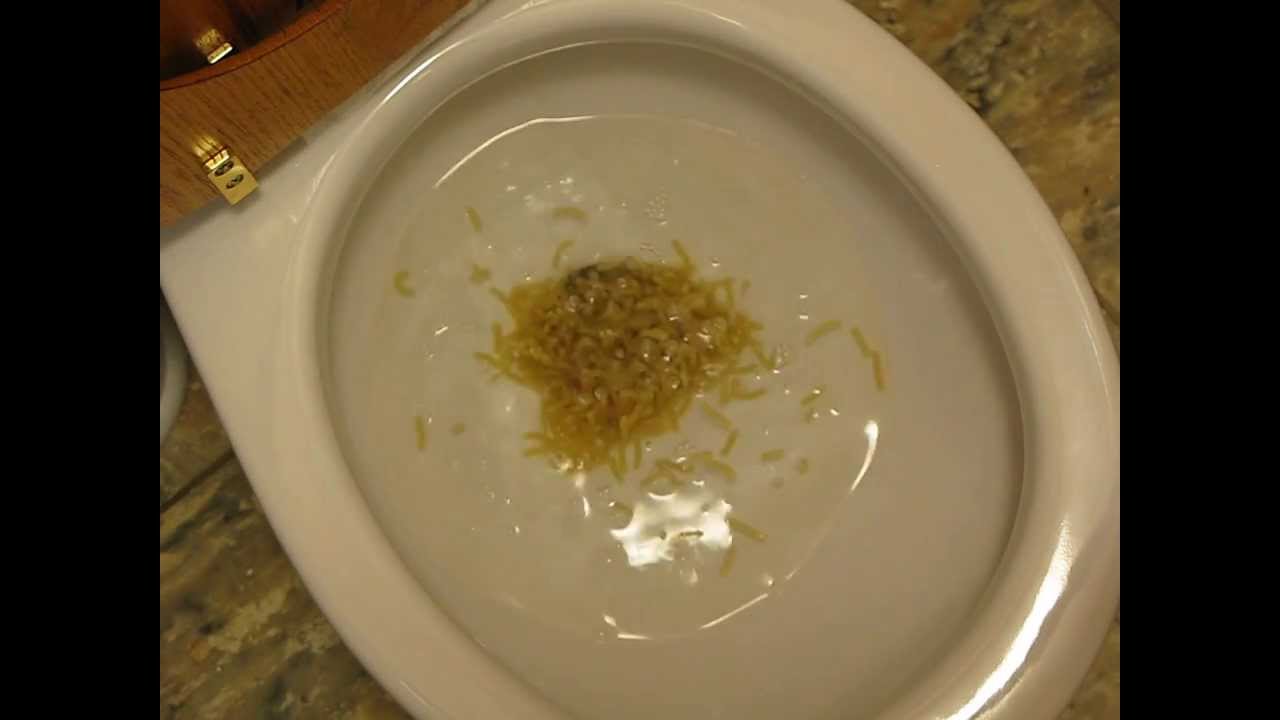 KRAP dinner - YouTube