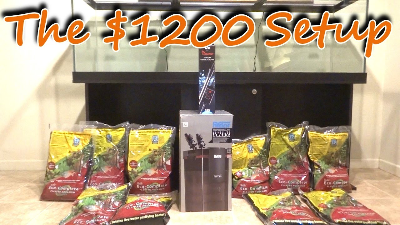 The $1200 dollar fish tank setup! - YouTube