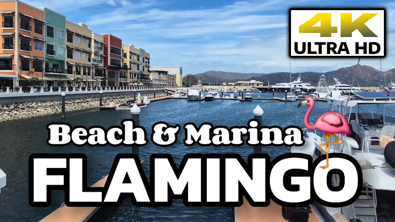 🦩Tour Flamingo Marina & Beach, Costa Rica // High End Area For Yachts ...