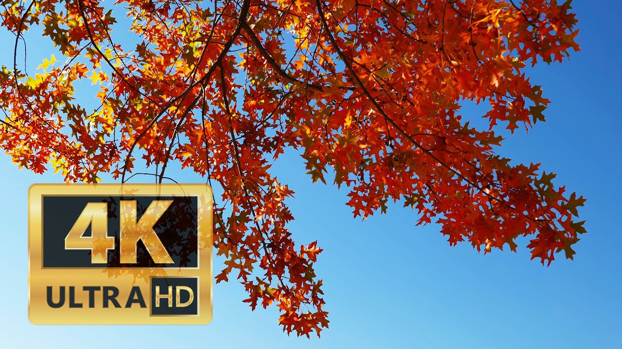 Autumn Breeze in Leavenworth 20231027 4K UHD - YouTube