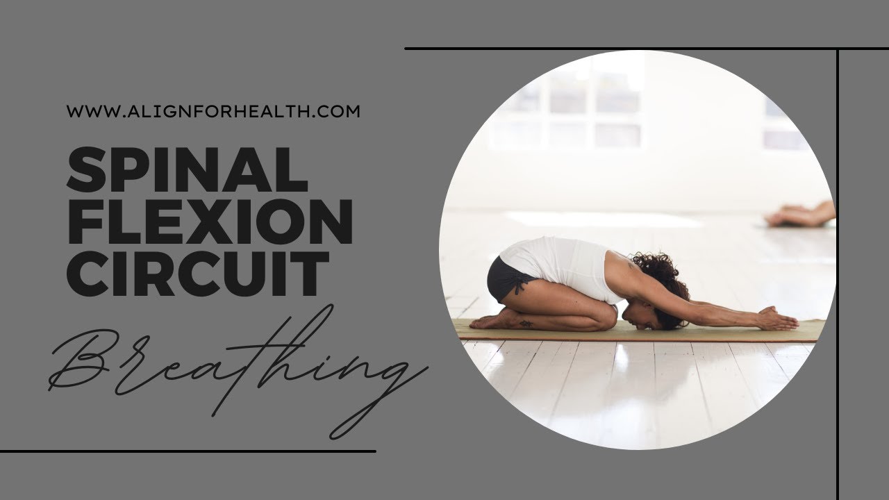 Spinal Flexion Breathing Circuit - YouTube