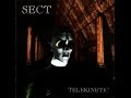 Sect – Telekinetic (1994, Cassette) - Discogs