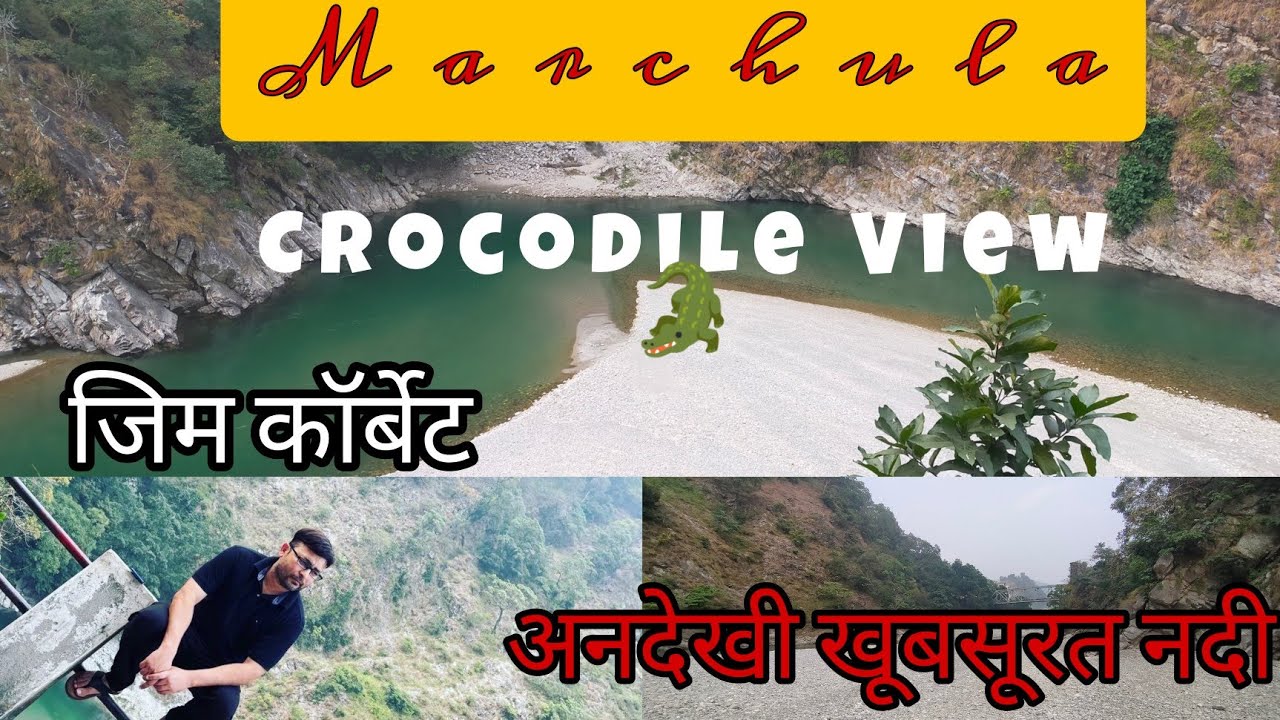 अनदेखी खूबसूरत नदी Marchula Crocodile View Point (Corbett Park ...