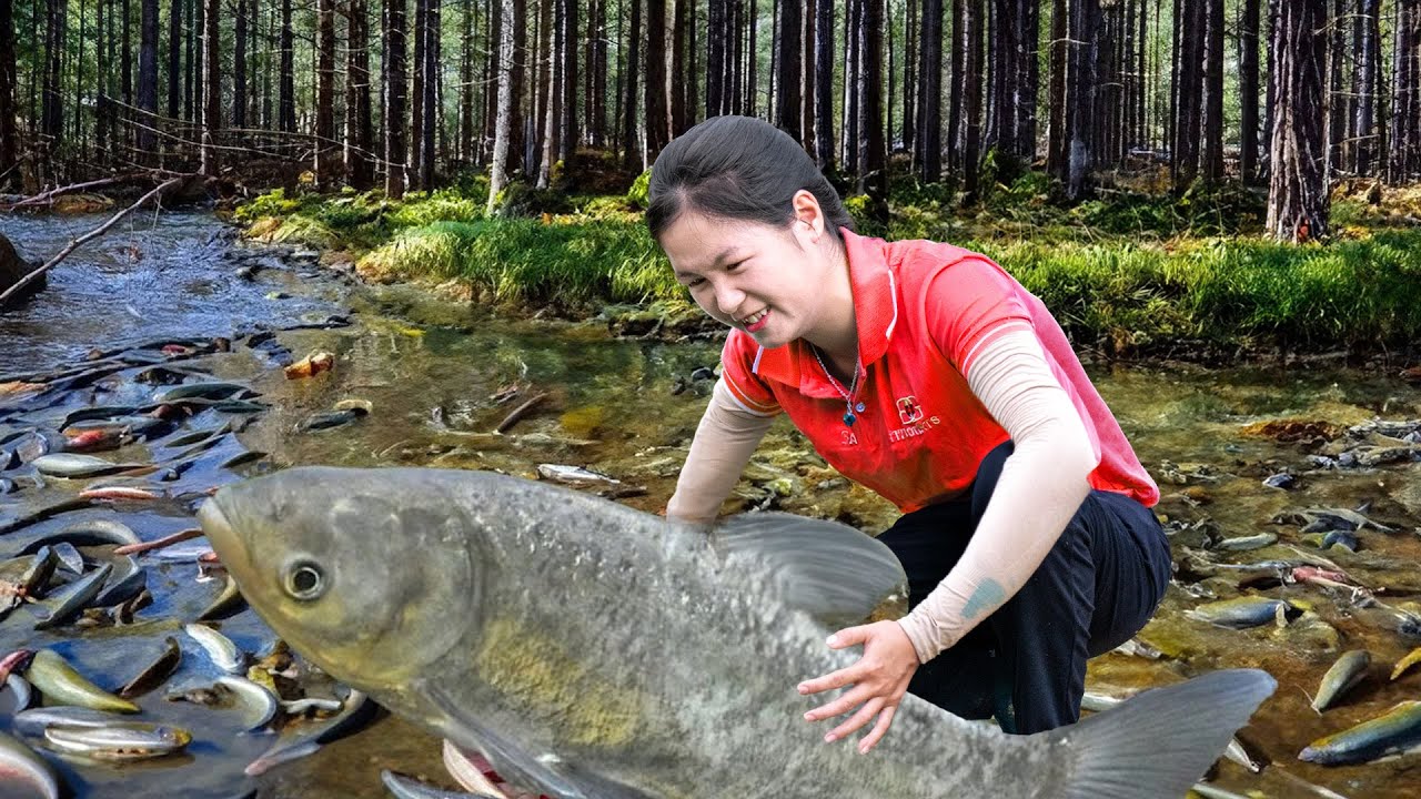 How To Catch Giant Fish in River To Sell - Ultimate Fishing Moment ...