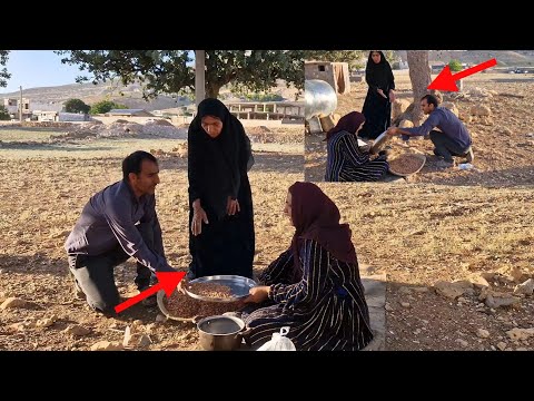 “Mohsen’s Sudden Visit! A Forced Marriage Plan That Pushes Elham Over the Edge!