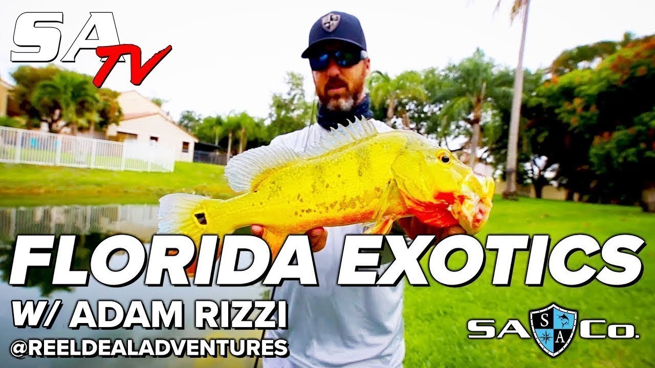 SA TV | FRESHWATER EXOTICS w/ ADAM RIZZI @REELDEALADVENTURES - YouTube
