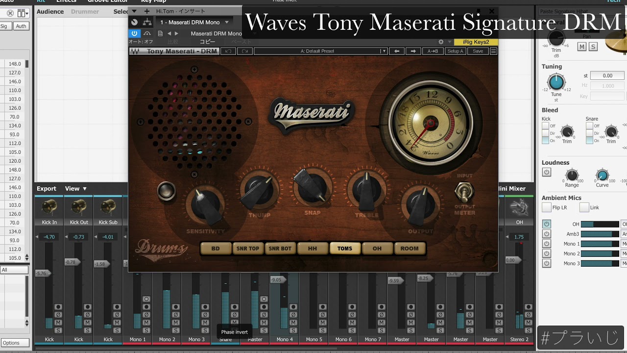 Waves Tony Maserati Signature Series DRM - YouTube