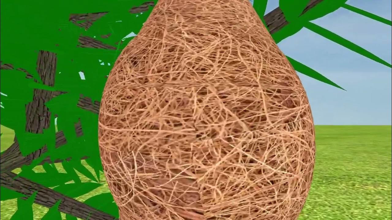 Khopa Kavita-Bahinabai Chaudhary in Fixed Function Pipeline-OpenGL DS ...