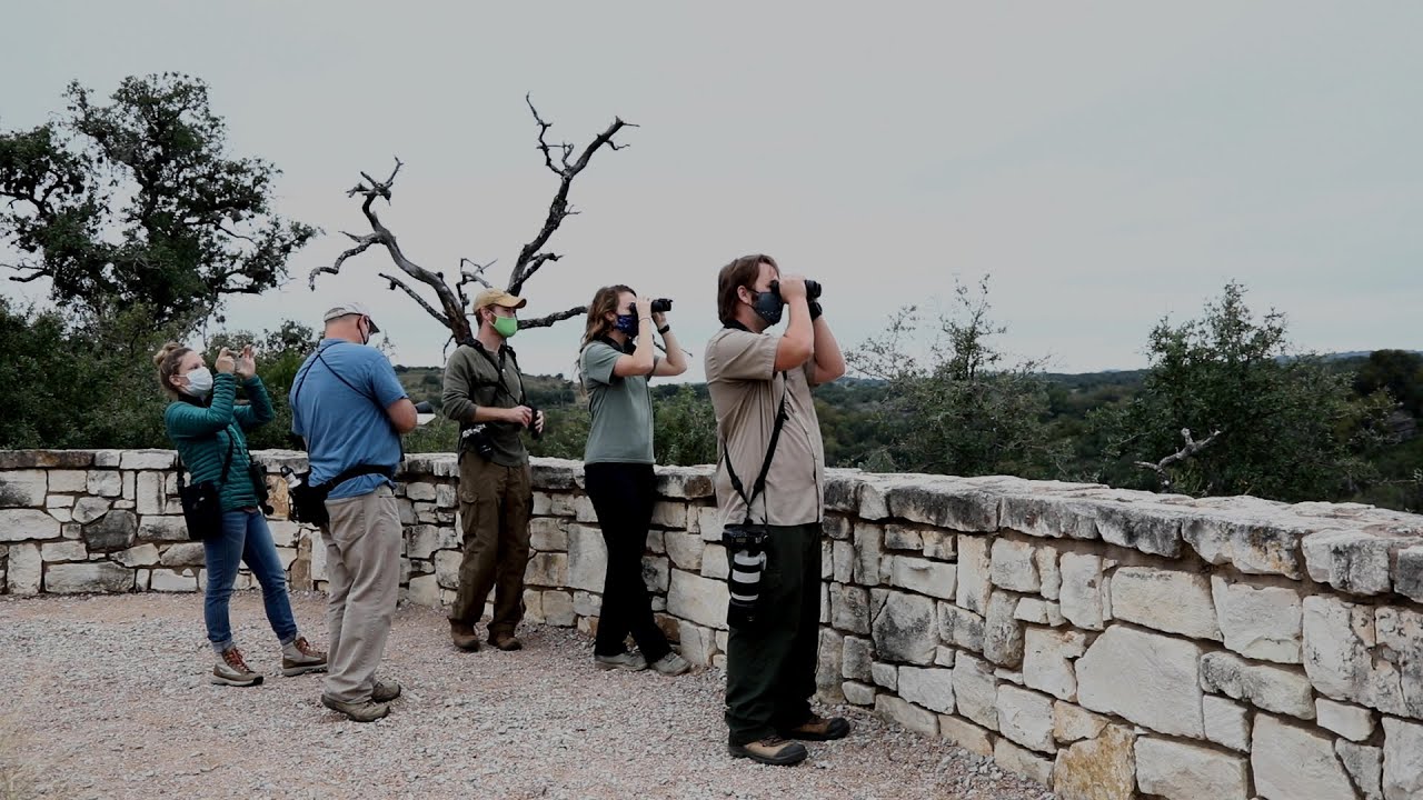 Travis County Parks - Winter Birding! - YouTube